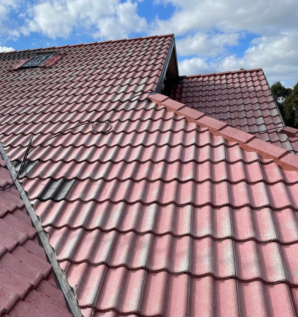 Quality Roof Painting Services - Transform and Protect Your Home